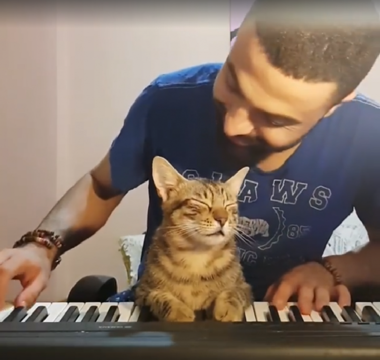 Joven toca una hermosa melodía al piano y su gato reacciona dulcemente