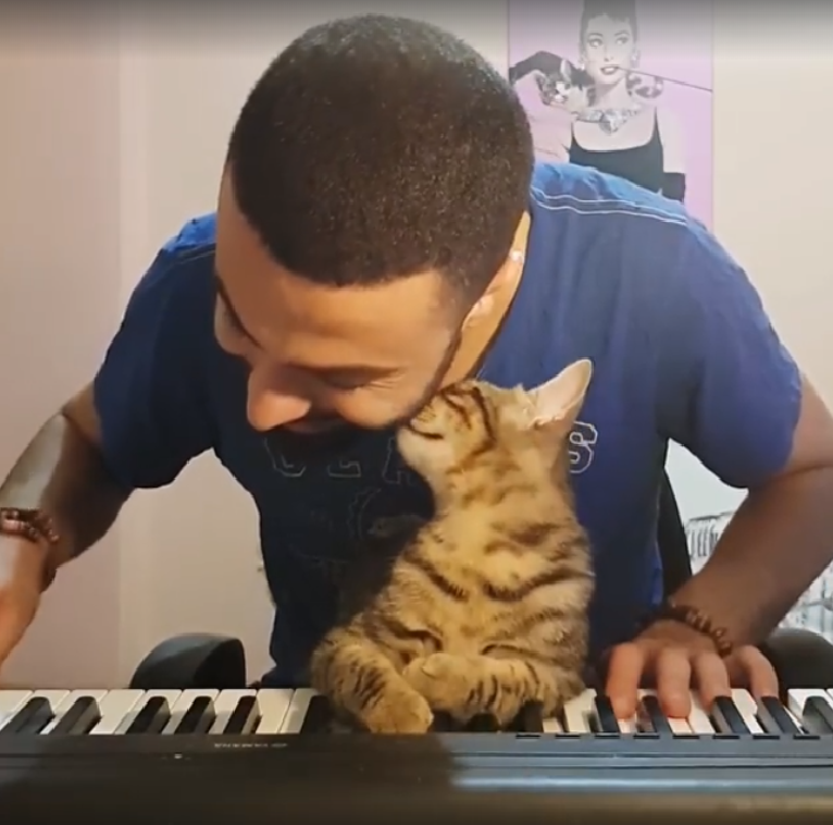 Joven toca una hermosa melodía al piano y su gato reacciona dulcemente