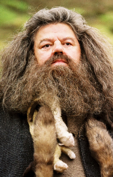 El actor que interpreta Hagrid en Harry Potter ha perdido la batalla ...