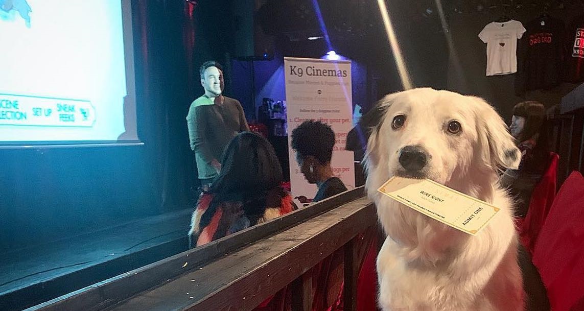 Un nuevo cine permite que lleves a tu perro para poder disfrutar de la ...
