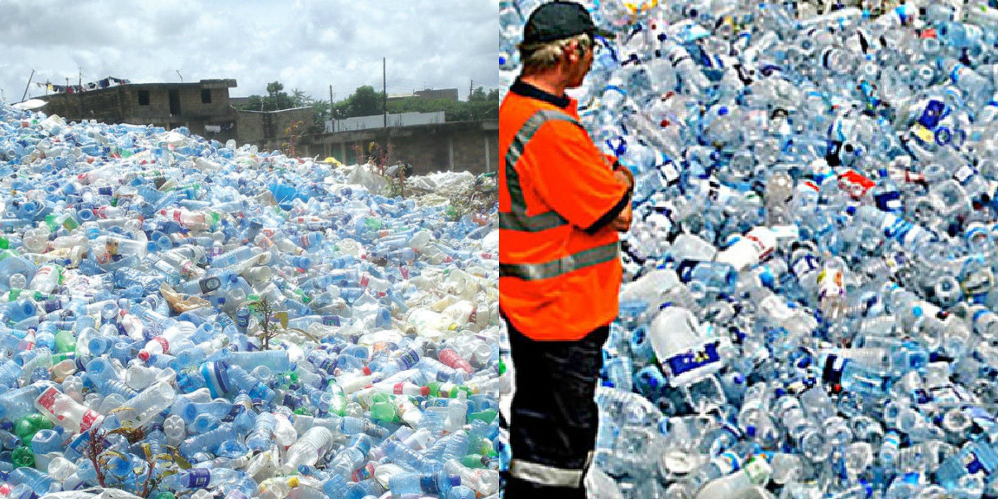 San Francisco en 2014 se convirtió en la primera ciudad que prohibió la ...