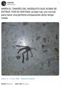 Encuentra un mosquito gigante en Argentina y cree que estar en Jumanji ...