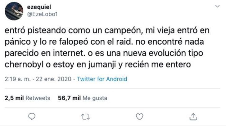 Encuentra un mosquito gigante en Argentina y cree que estar en Jumanji ...