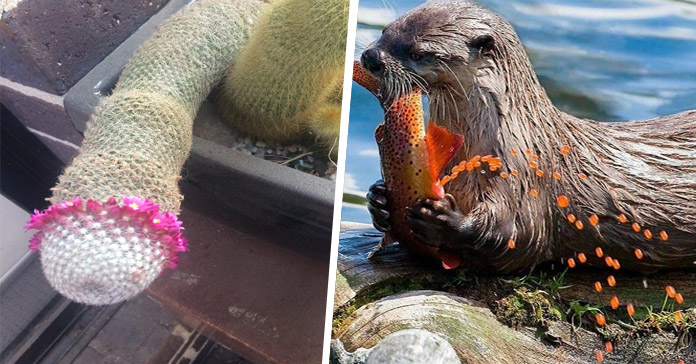 19 Personas comparten imágenes de las cosas más curiosas que han visto