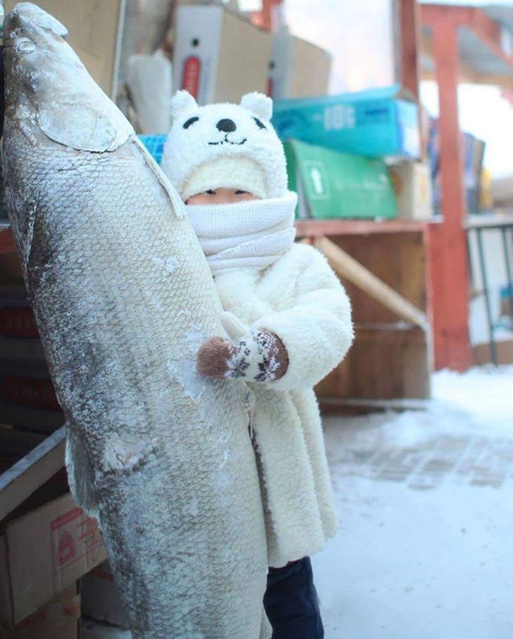 22+ lugares con temperatura inferior a 0 ºC, para los amantes del frío